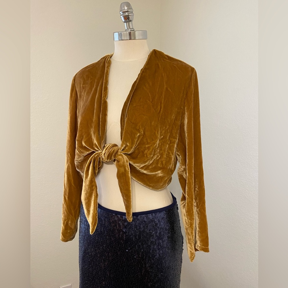 Reformation Velvet Top - Gem